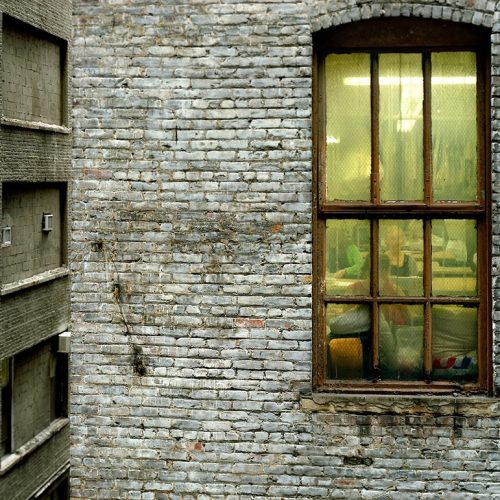 Windows – paul rollo